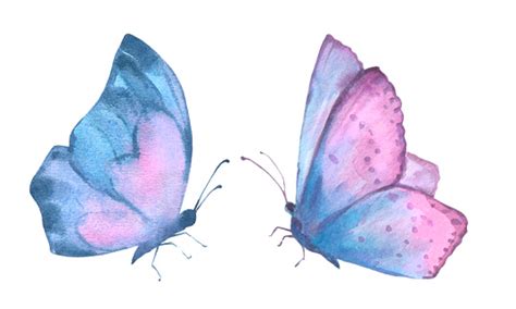 섬세하고 귀여운 파란색과 라일락 나비 세트 수채화 그림은 흰색 배경에 개체를 격리합니다 장식 로맨틱 결혼식 이벤트 직물 Poscards 카드 만들기의 디자인 나방에 대한