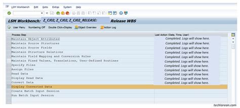 Lsmw For Beginner Sap Functional Consultants Step By Step Guide