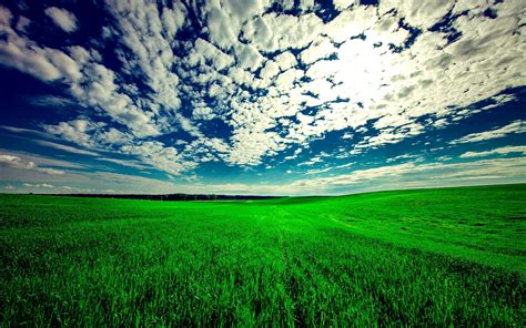 Field Sky Grass Wallpapers Wallpaper Cave