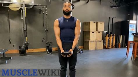 Musclewiki Simplify Your Workout