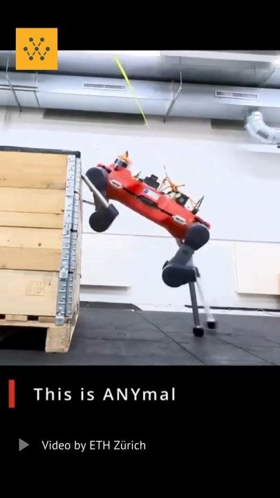 [video] wevolver on linkedin roboticists from the robotic systems lab