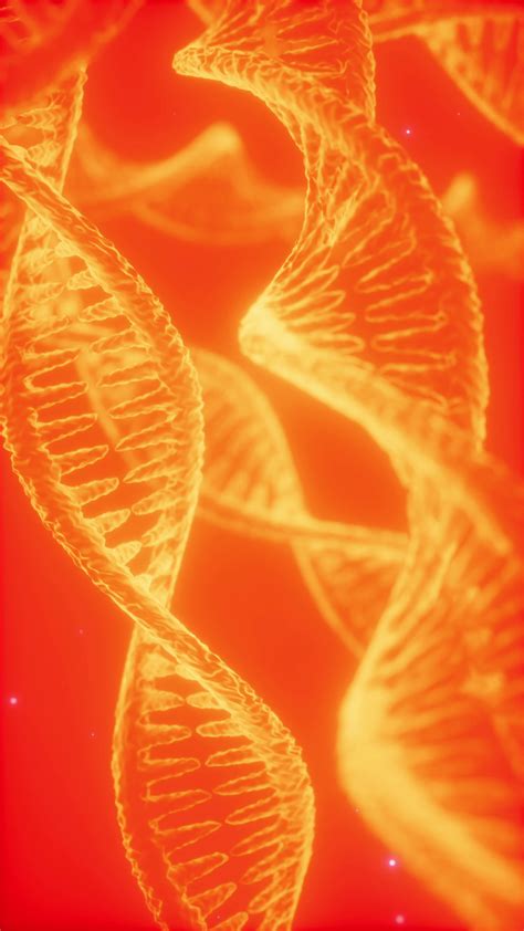 Structure Of The Dna Double Helix Animation 44236195 Stock Video At