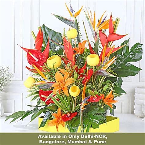 Buysend Orange Lily Blaze Online Fnp