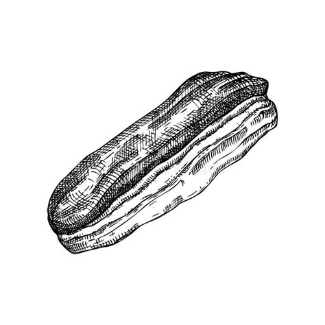 Eclair Vintage Drawing European Food Pastry Dessert Sketch French Bakery Design Element