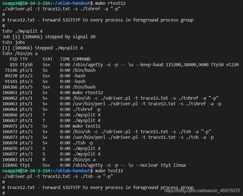 csapp shelllab实验 csapp shelllab实验 csdn博客