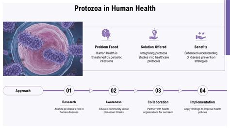Protozoa Tree Of Life Ppt Slides Acp Ppt Presentation