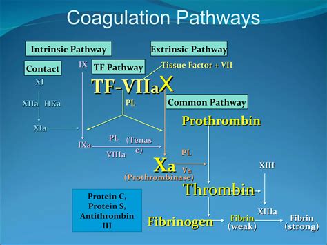 Emergency Warfarin Reversal A Ppt Emergency Warfarin Reversal A Ppt
