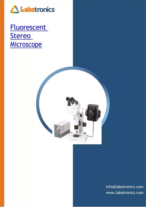 Ppt Fluorescent Stereo Microscope Powerpoint Presentation Free