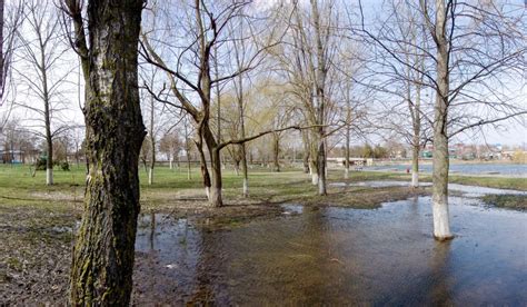 Фото Парк в городе Кореновск