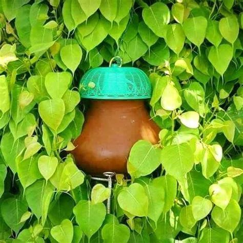 လံုးသားတစ္ဖက္ဆီသို႔ မိဘ ဘယ္ ေနရာ ေရာက္ ေရာက္ အိမ္ ဘယ္ ေလာက္ လံုျခံဳ ေနပါ ေစ