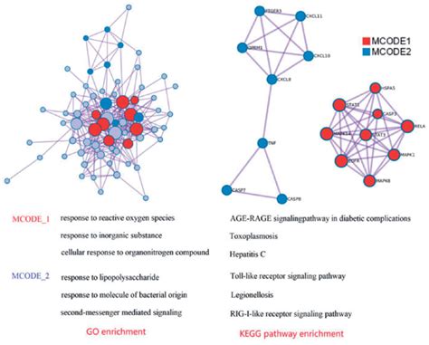 Protein Protein Interaction Network And Mcode Components Identified In Download Scientific
