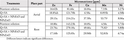 Effect Of Foliar Application Of Nutrient Solution Chitosan Salicylic