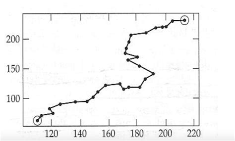 Solved A New Cell Type Is Being Characterized For Migration