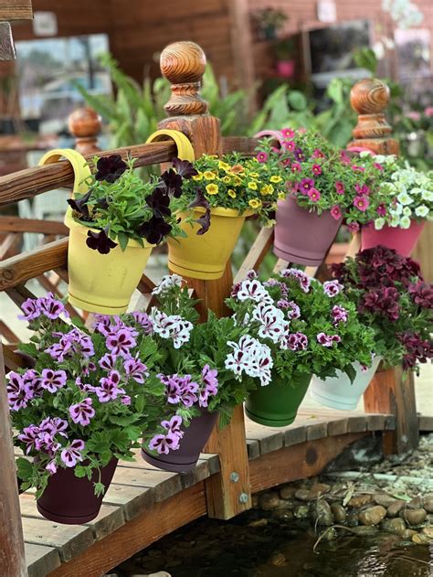 화분에 심은 정원 사진 Unsplash의 무료 바깥 이미지