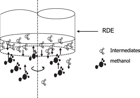 Scheme Of Methanol Diffusion To The RDE Surface During Its Oxidation Download Scientific Diagram