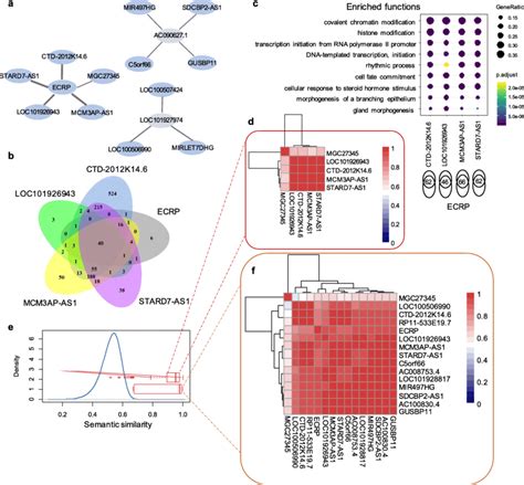 Functional Analysis Of Three Connected Motifs In Sepsiglnc A Twelve