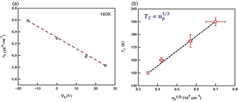Hole‐mediated Rkky Interaction In 2d Ferromagnetic Crte2 Ultra‐thin