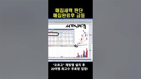 세력주가 크게 터진다 세력매집종목인지 판단하는 방법 Youtube