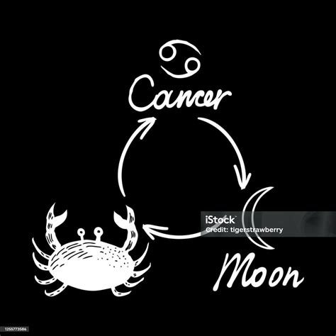 손으로 그린 조디악 별자리 기호와 기호 암 달 일러스트 그림 행성과 기호 서면 이름 신비한 신비한 신비한 손바닥과 마술 연금술에