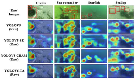 An Improved Yolov5 Based On Triplet Attention And Prediction Head Optimization For Marine