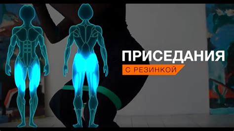 Приседания с резинкой - YouTube