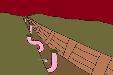 Create A Bug Tier List Tiermaker