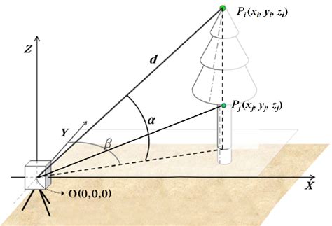 Estimation Of Tree Height Th P I And Crown Base Height Cbh P Download Scientific