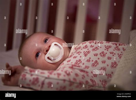 Baby Babe Babies Human Babies Stock Photo Alamy