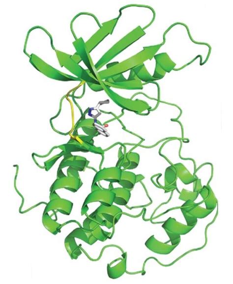 Overview Of Cdk5 Inhibitors Boc Sciences