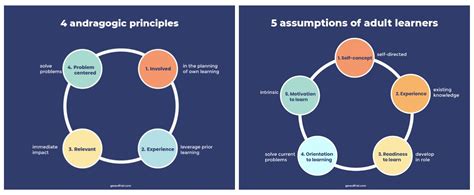 The Adult Learning Theory Explained Coursebox Ai