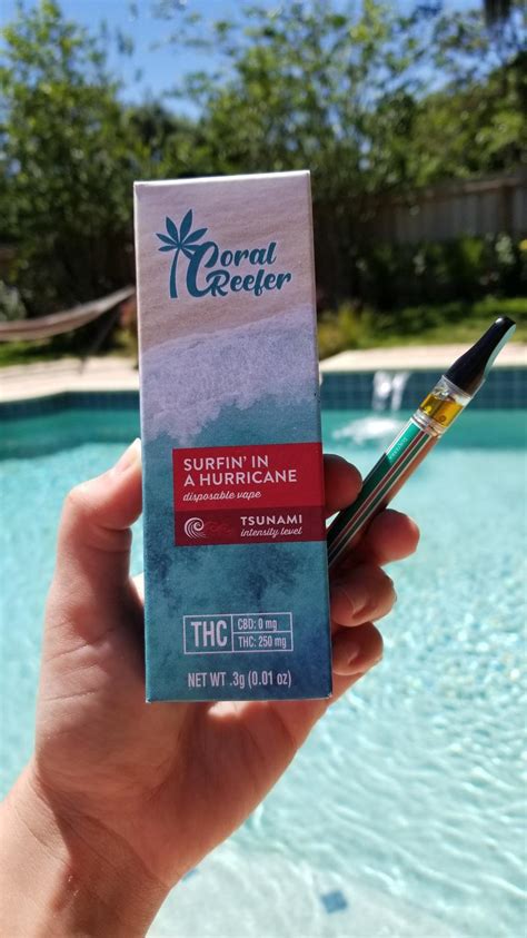 Rebekah Thomas Logie On Linkedin I Love Everything About This 😎🌊🏝