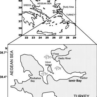 Biota sampling regions in Izmir Bay | Download Scientific Diagram