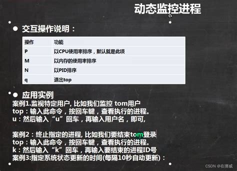 linux之动态监控进程 linux动态监控某个进程 CSDN博客