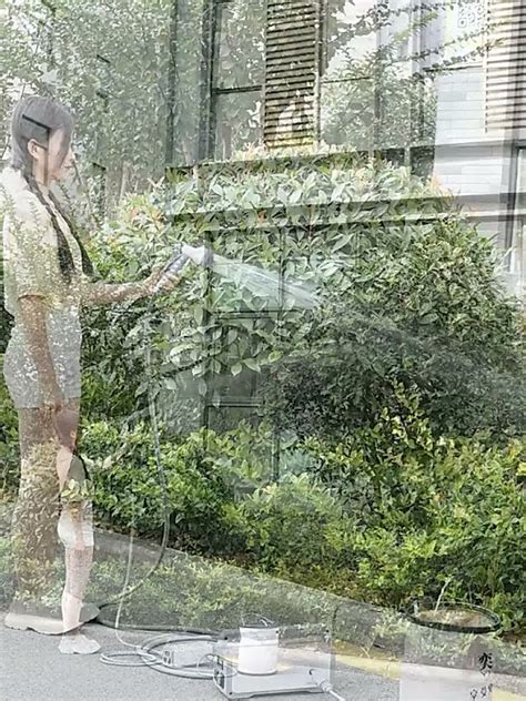 5m호스 충전식 소형 전기 농업용 양수기 워터펌프 펌프 물 분무기계 세차용 텃밭 물주기 정원 물청소 Youtube