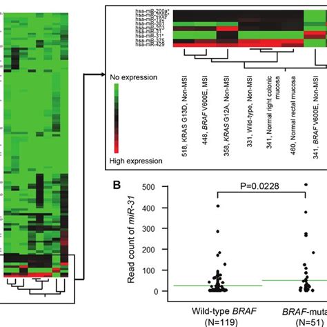 Association Between Crc With A Braf Mutation And Mir 31 Expression