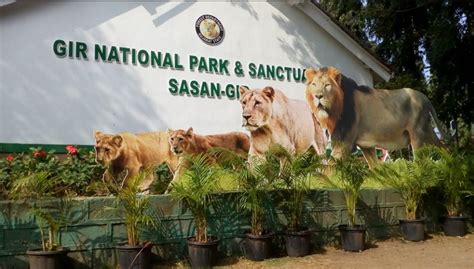 Gir Interpretation Zone Devaliya Safari Park Sasan Gir Interpretation Zone Gir