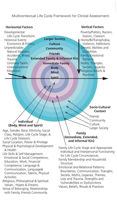 Multicontextual Life Cycle Framework For Clinical Assessment اطار دائرة