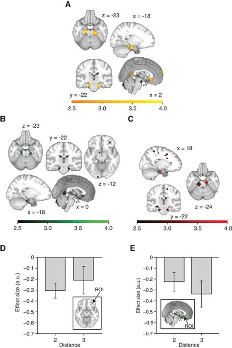 Figures And Data In A Map Of Abstract Relational Knowledge In The Human Hippocampalentorhinal