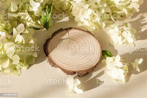 파스텔 배경에 꽃과 그림자가 있는 나무 둥근 연단 유기농 화장품에 대한 프레젠테이션 및 전시회를 위한 빈 자연 스탠드 평면도 모형 0명에 대한 스톡 사진 및 기타 이미지