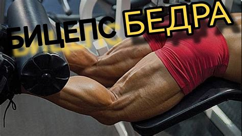 Бицепс бедра Тренировка и упражнения Просто и понятно Youtube