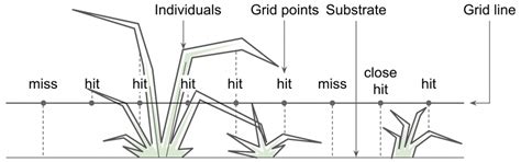 Illustration Of The Point Intercept Method Source Adapted By The Download Scientific Diagram