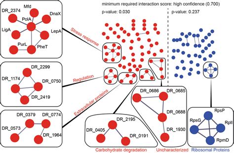 String Database Analysis Of Proteins Higher Abundant Red And Less