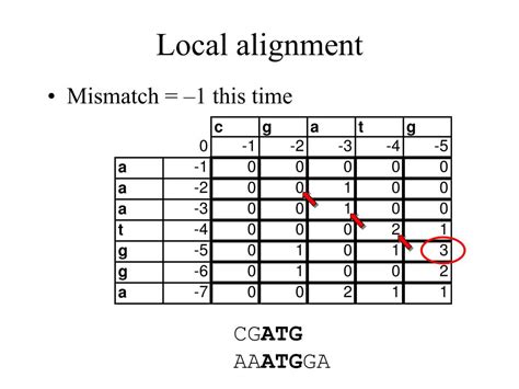 Ppt Sequence Alignments Powerpoint Presentation Free Download Id3615447