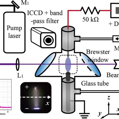 Schematic Diagram Of The 3d Printed Gas Flow Container Used For Lif