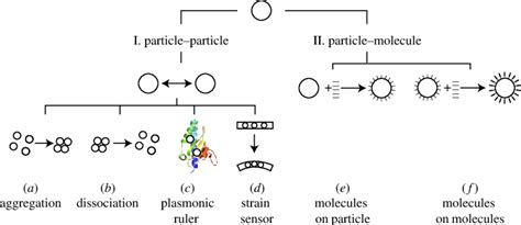 Applications Of Plasmonic Particles As Sensors Online Version In Download Scientific Diagram