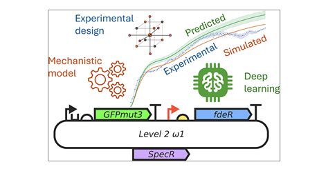 Context Aware Biosensor Design Through Biology Guided Machine Learning And Dynamical Modeling