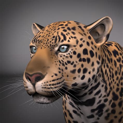 Leopard 3d Model Download Free 3d Models