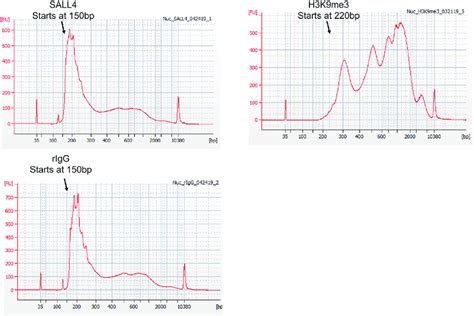 Expected Bioanalyzer Electropherograms Following Library Construction