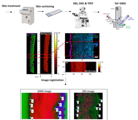 Correlative Optical Spectroscopy And Mass Spectrometry Imaging Methodology To Visualise Drug