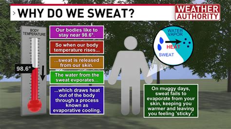 Heat Index Versus Temperature Explained Plus When Heat Illness Is A Concern
